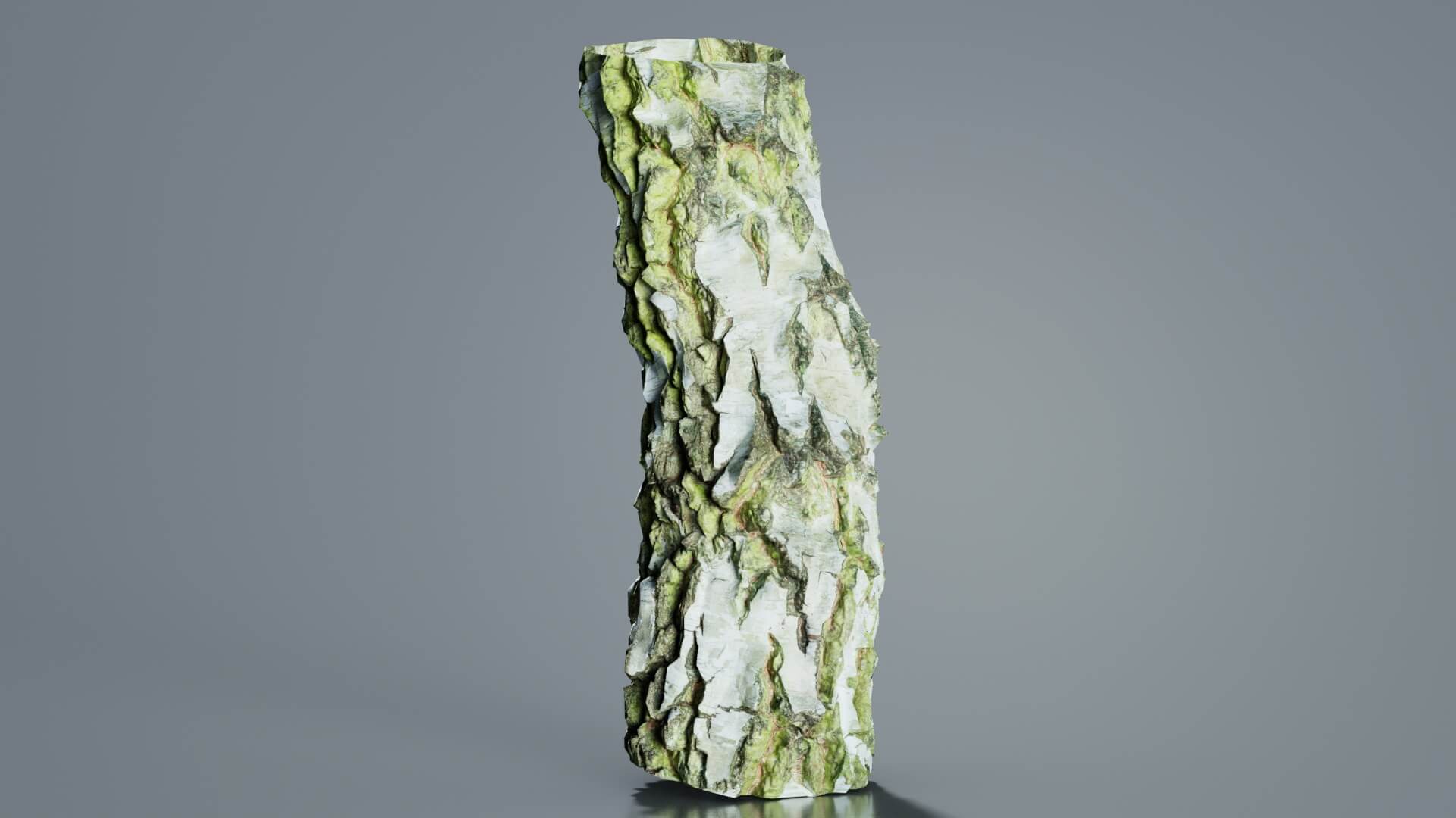 Sliced Bark - 3D Model by Polygonal Miniatures