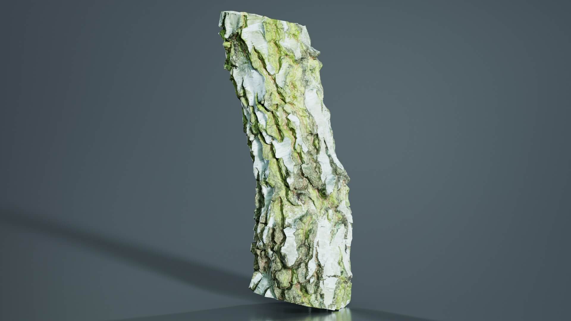 Sliced Bark - 3D Model by Polygonal Miniatures