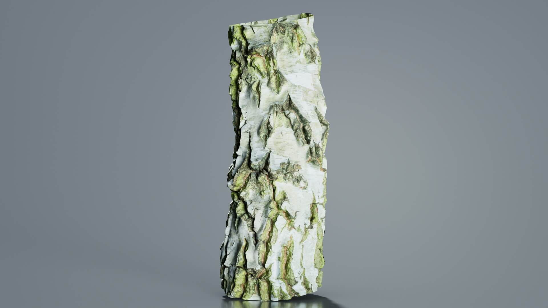 Sliced Bark - 3D Model by Polygonal Miniatures