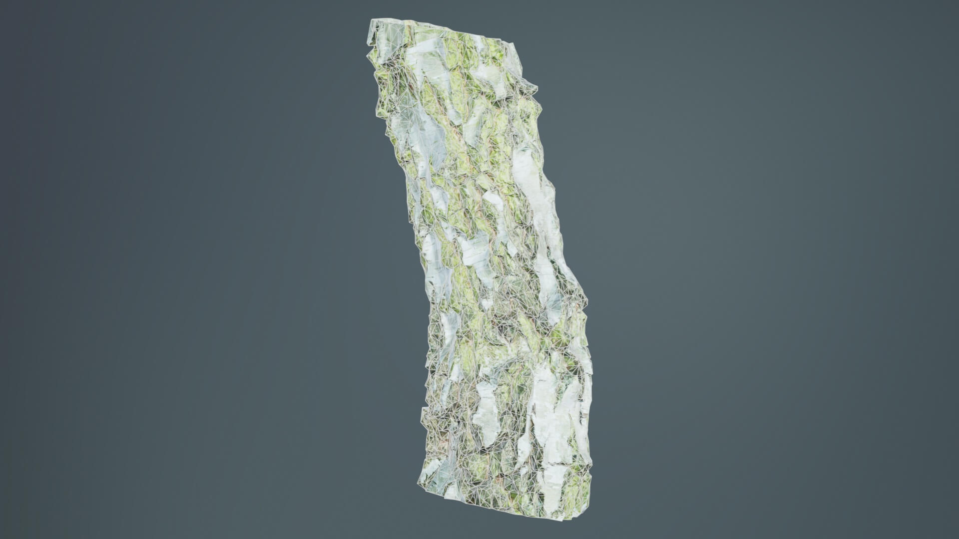 Sliced Bark - 3D Model by Polygonal Miniatures