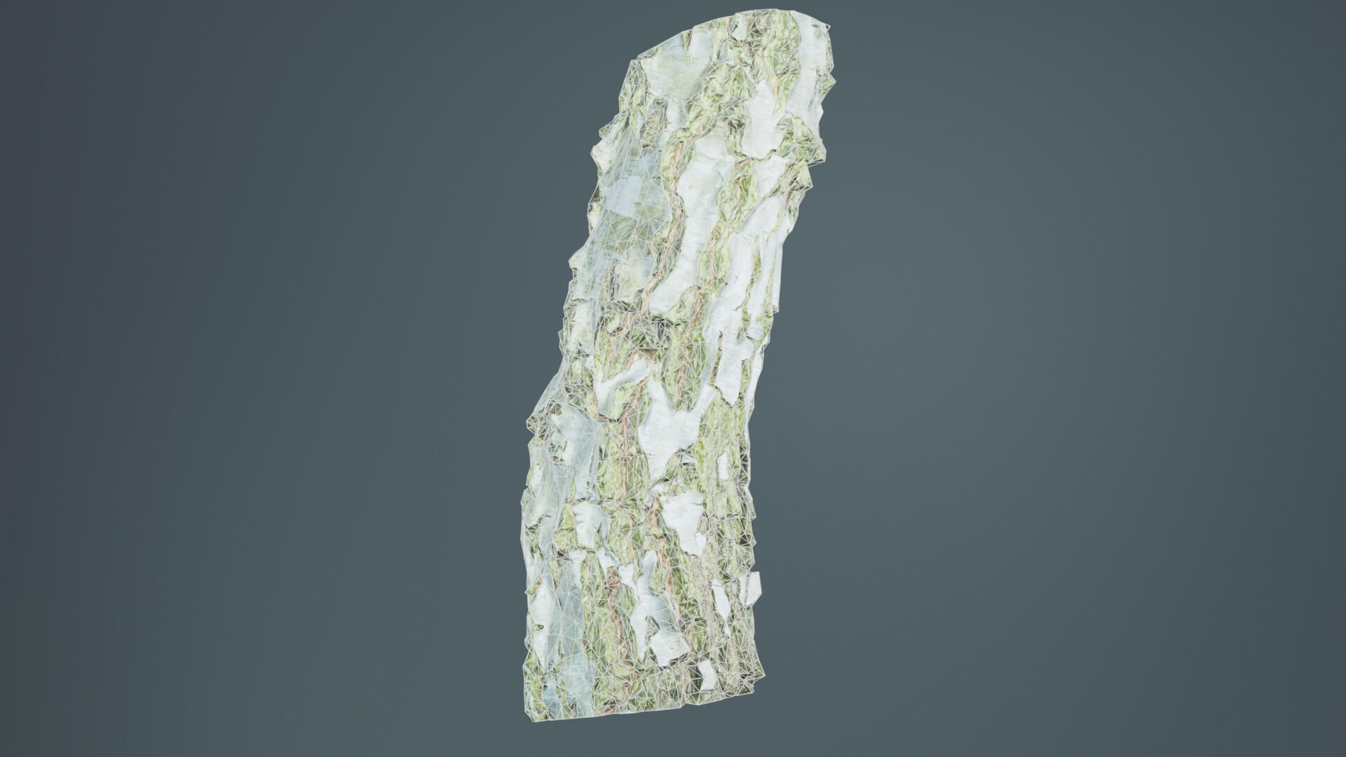 Sliced Bark - 3D Model by Polygonal Miniatures