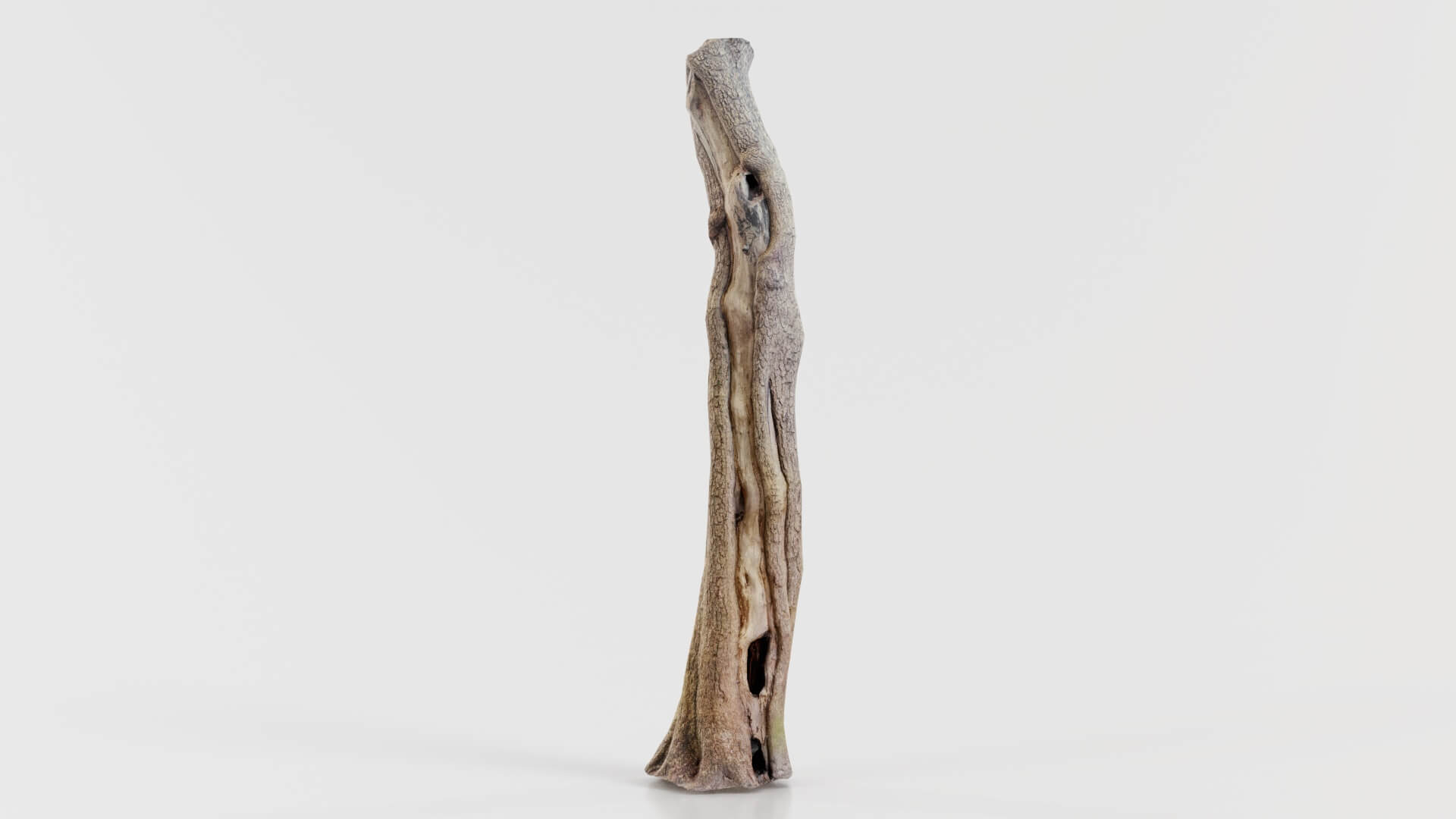 Slit Tree Trunk - 3D Model by Polygonal Miniatures