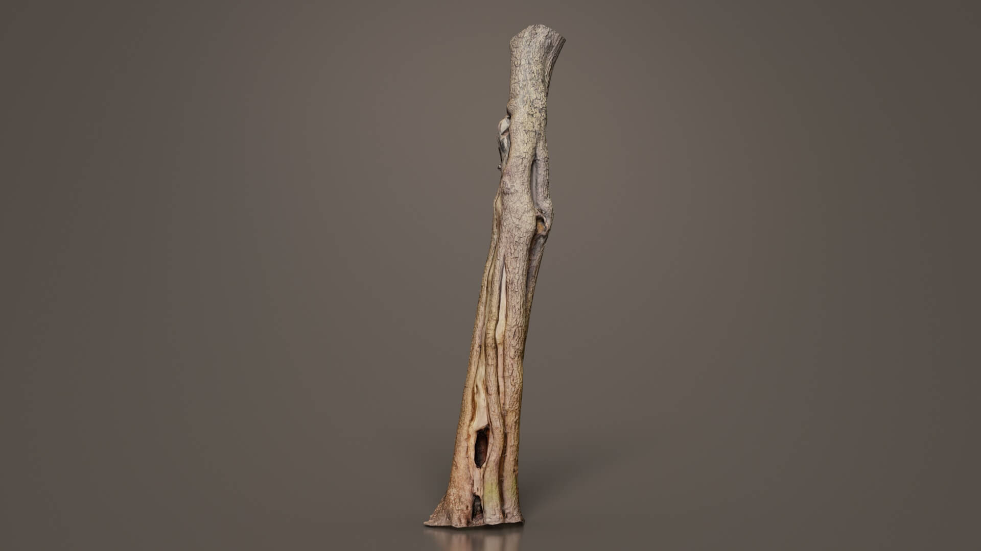 Slit Tree Trunk - 3D Model by Polygonal Miniatures