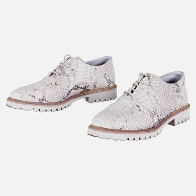 Snake Pattern Casual Sneaker Shoe - 3D Model by Polygonal Miniatures