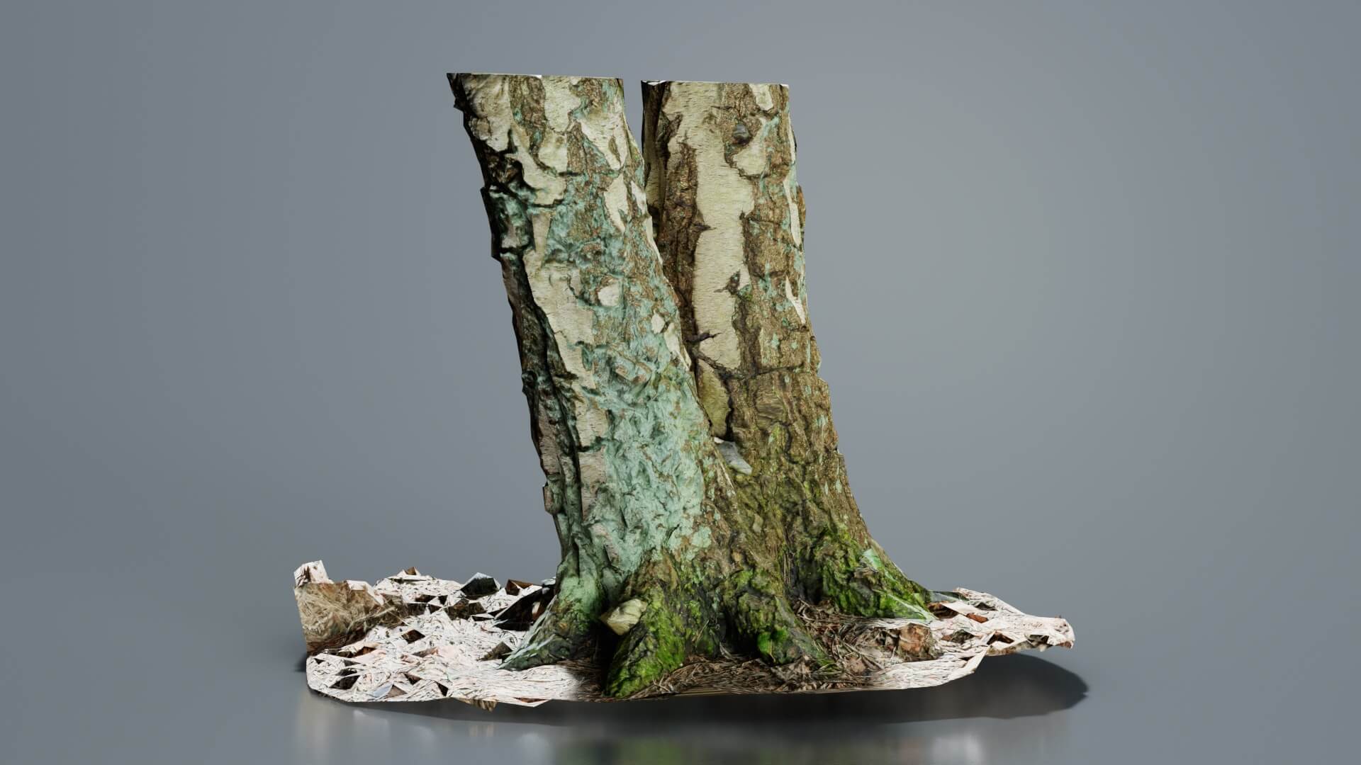 Split Tree Foundation Stump - 3D Model by Polygonal Miniatures