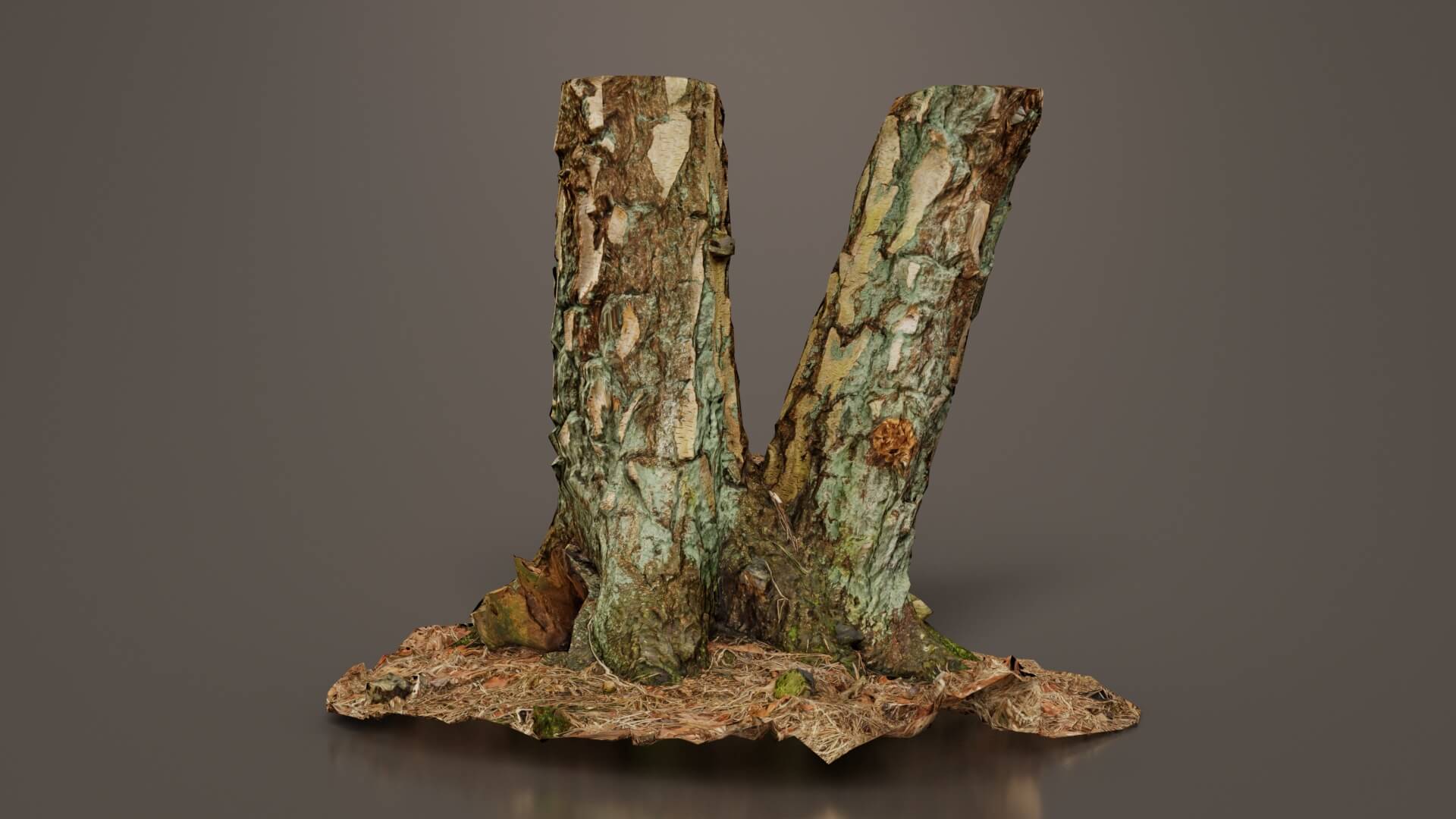 Split Tree Foundation Stump - 3D Model by Polygonal Miniatures