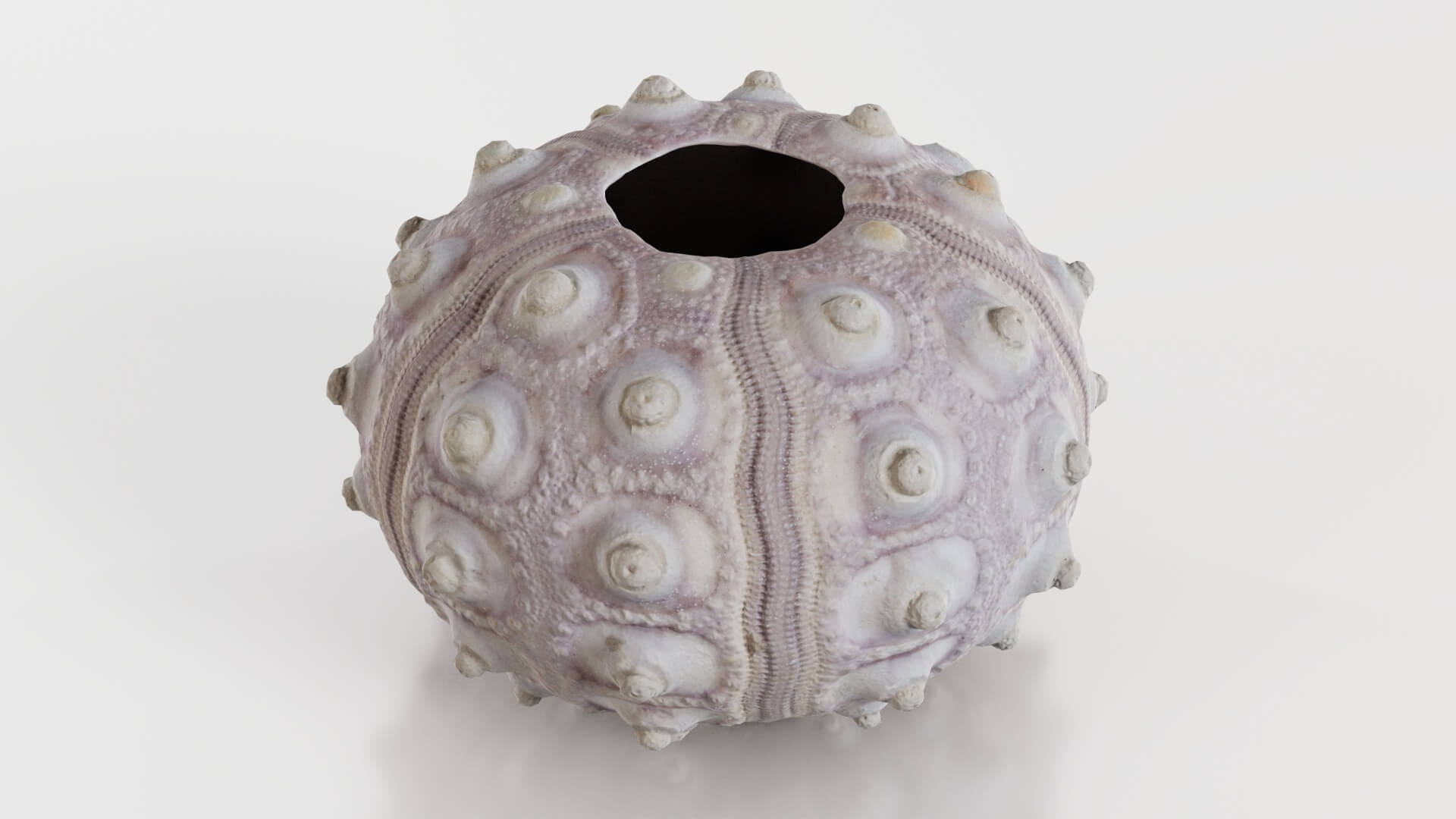 Sputnik Sea Urchin - 3D Model by Polygonal Miniatures