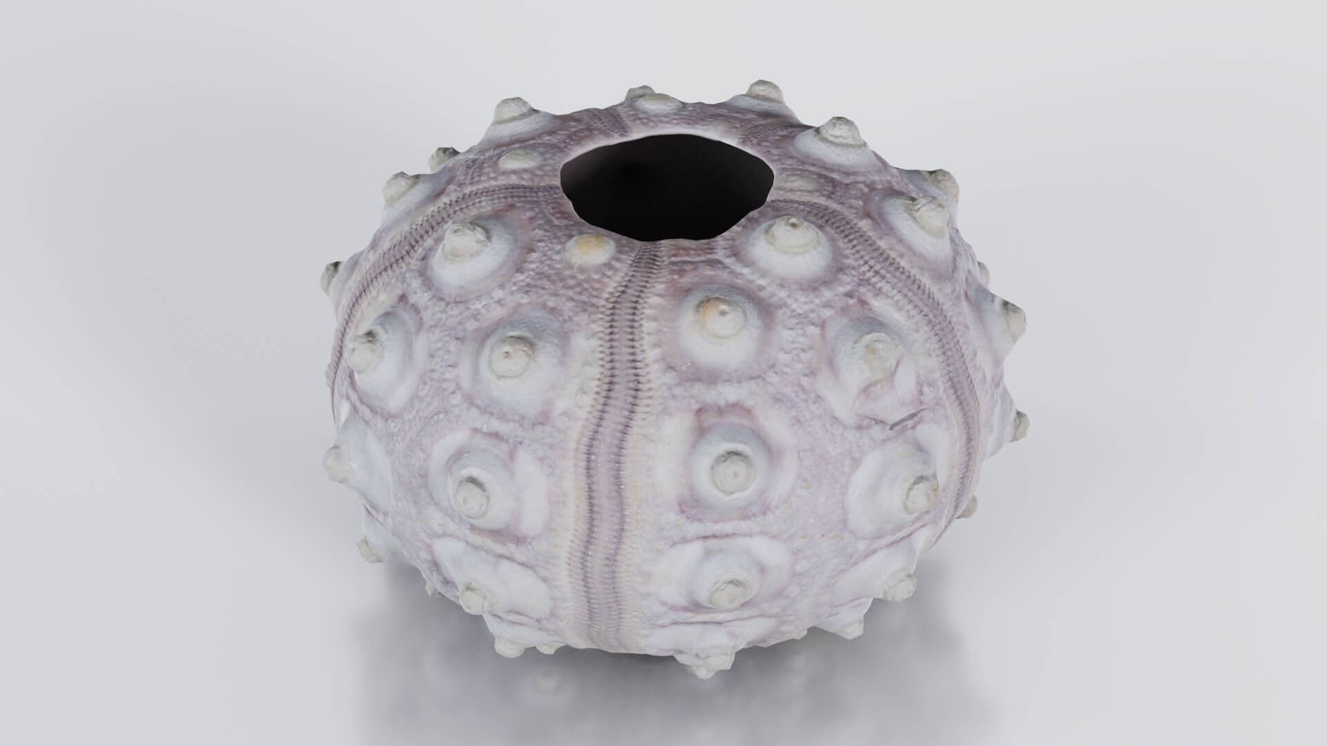 Sputnik Sea Urchin - 3D Model by Polygonal Miniatures