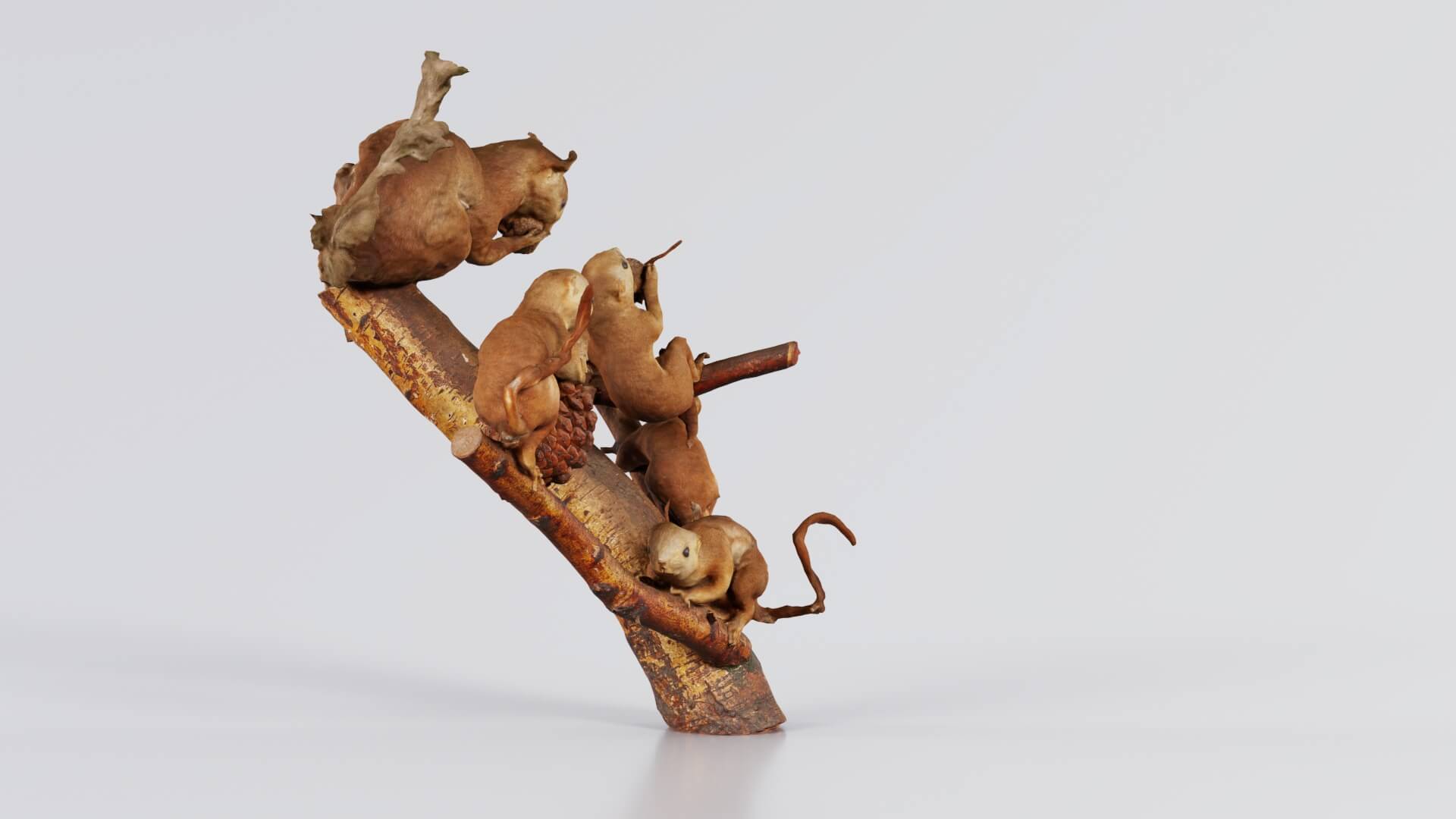 Squirrels on Branch - 3D Model by Polygonal Miniatures