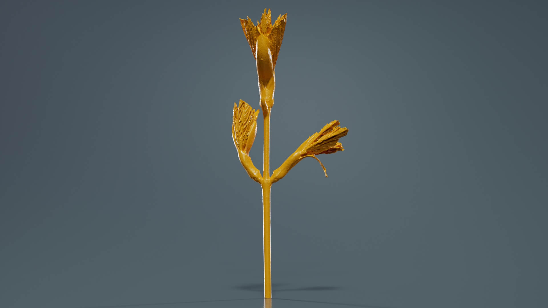 Sycamore Maple Sapindaceae Sprout - 3D Model by Polygonal Miniatures
