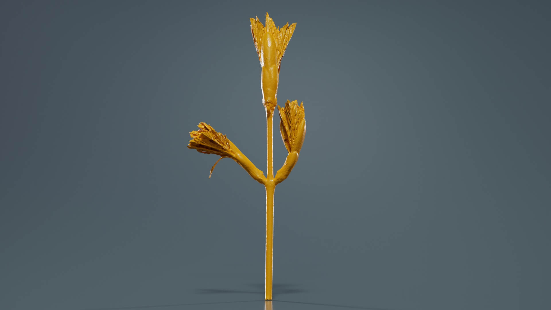 Sycamore Maple Sapindaceae Sprout - 3D Model by Polygonal Miniatures