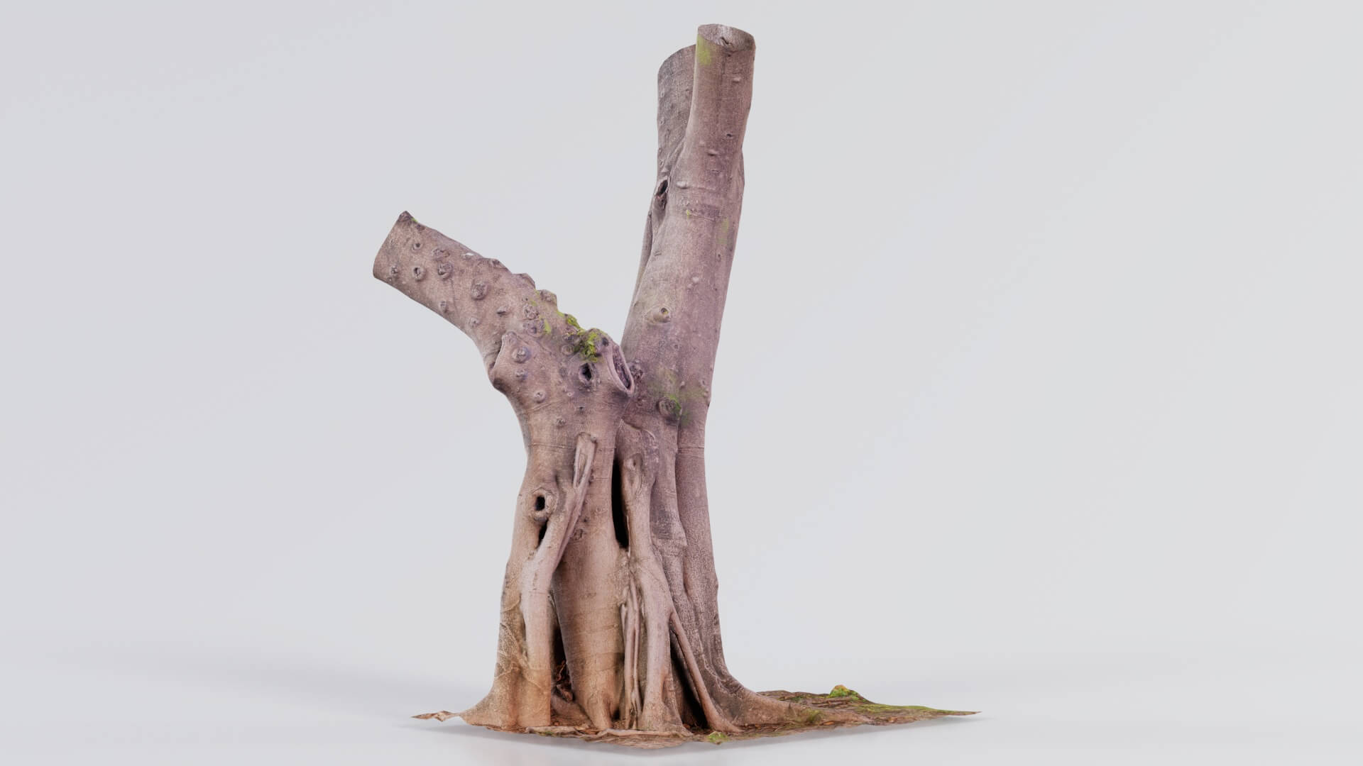 Tall Roots Tree Trunk - 3D Model by Polygonal Miniatures