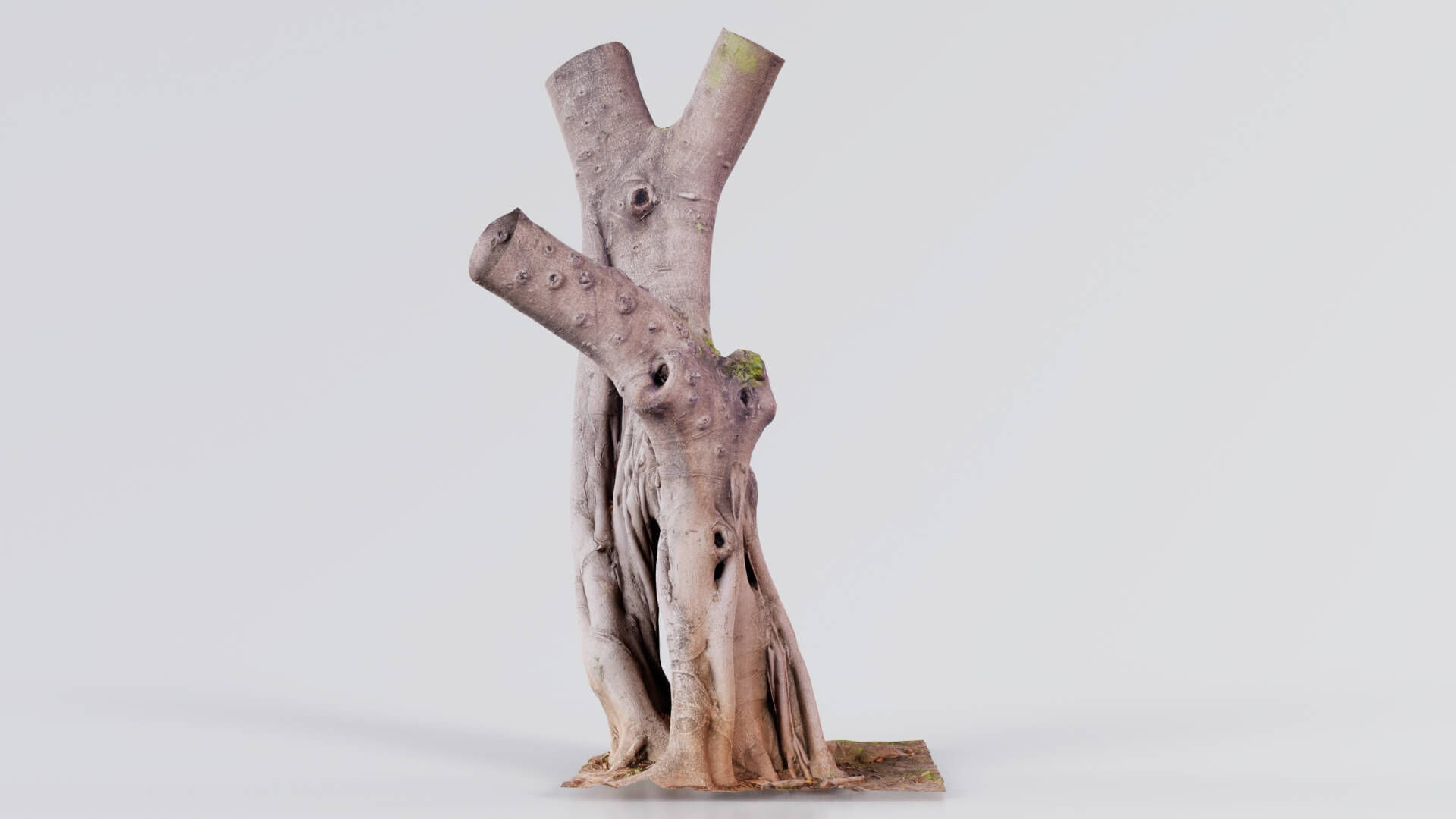 Tall Roots Tree Trunk - 3D Model by Polygonal Miniatures