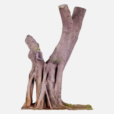 Tall Roots Tree Trunk - 3D Model by Polygonal Miniatures