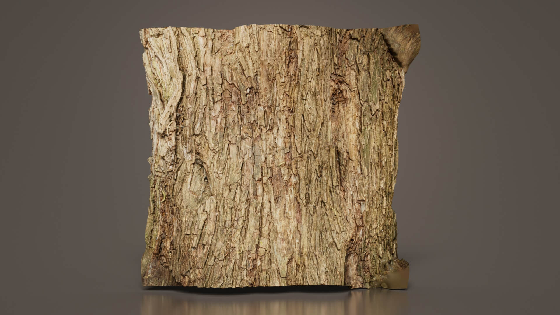 Tree Bark Chunk - 3D Model by Polygonal Miniatures