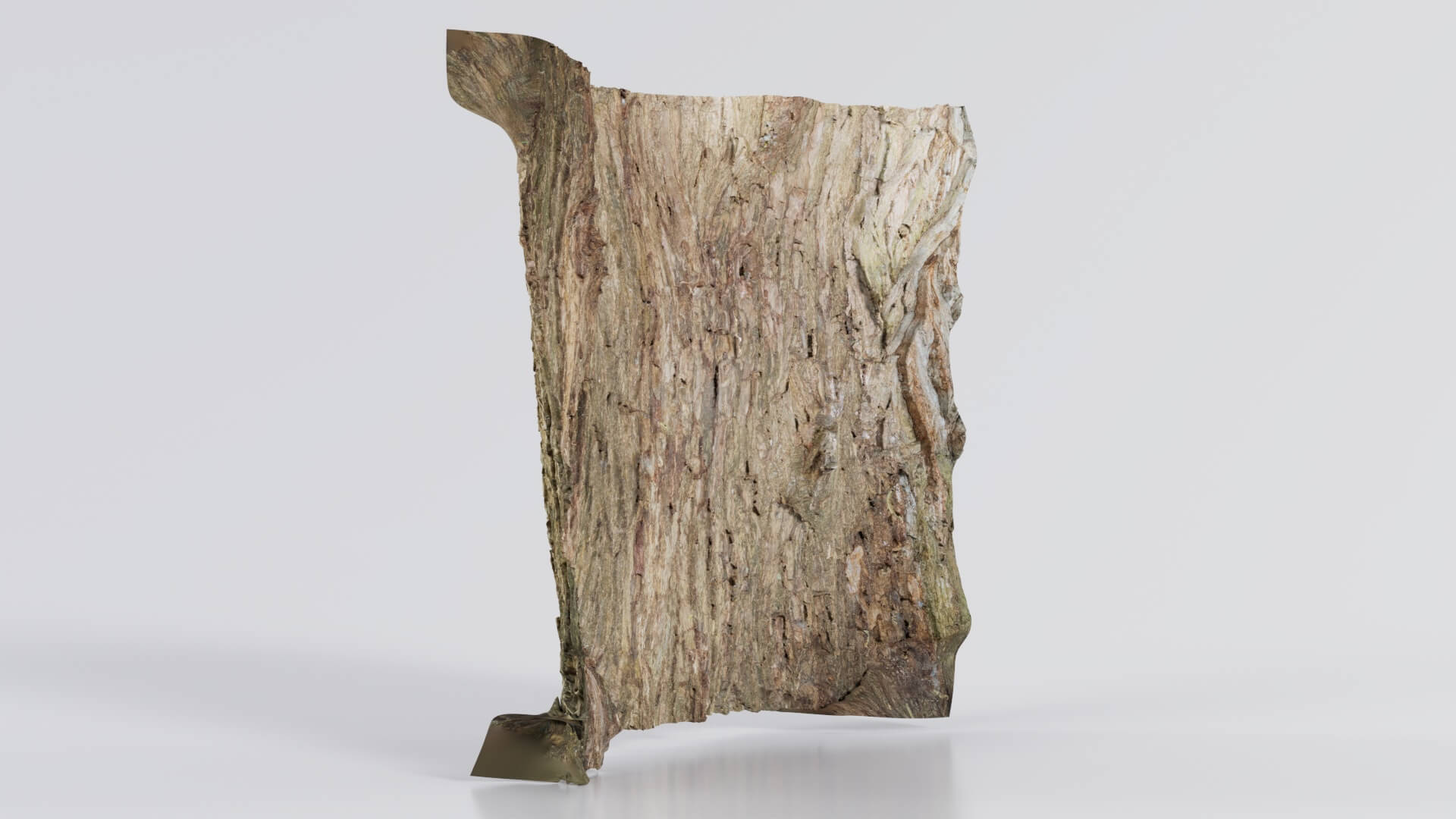 Tree Bark Chunk - 3D Model by Polygonal Miniatures