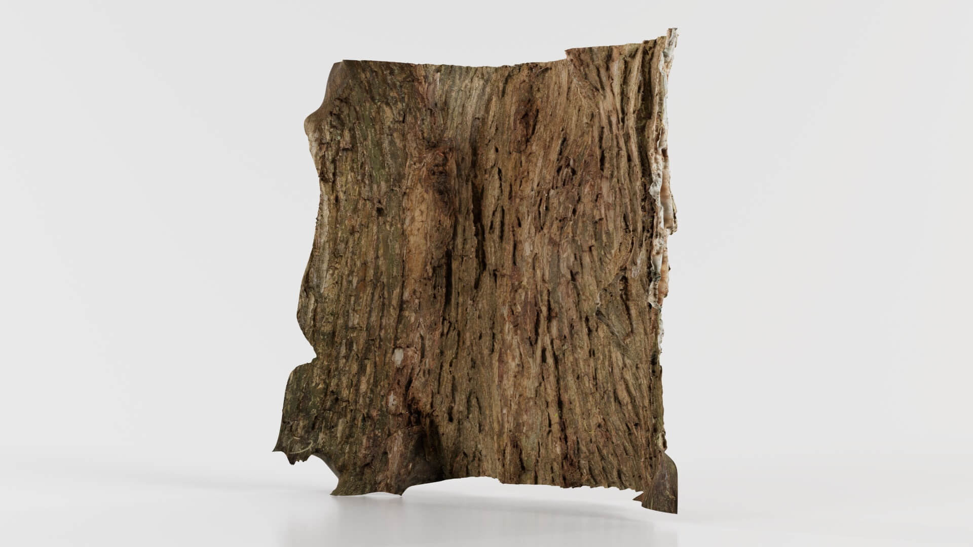 Tree Bark Chunk - 3D Model by Polygonal Miniatures