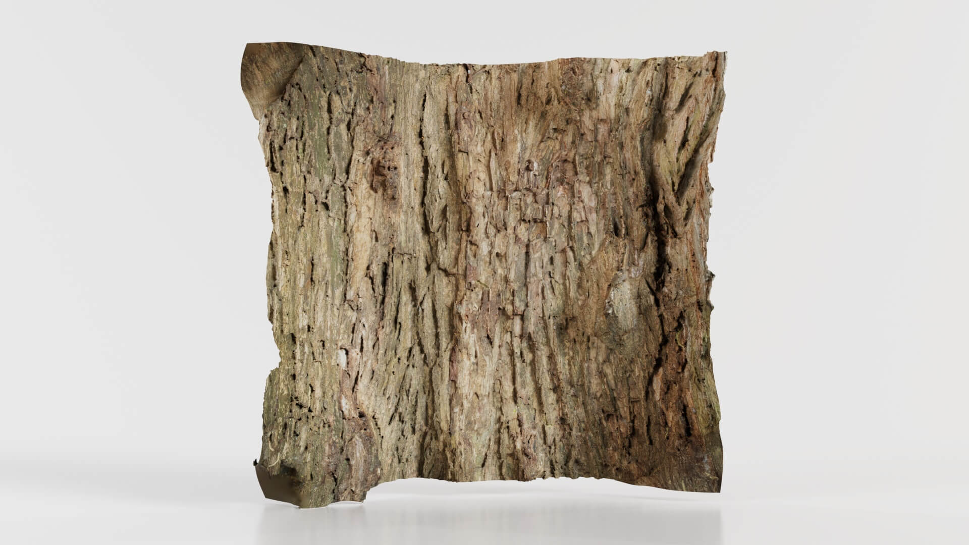 Tree Bark Chunk - 3D Model by Polygonal Miniatures