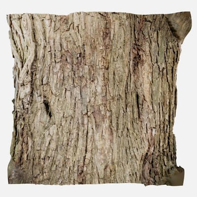 Tree Bark Chunk - 3D Model by Polygonal Miniatures