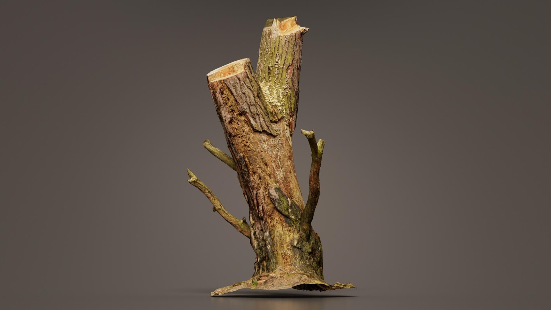 Tree Stump with Small Off Shoots - 3D Model by Polygonal Miniatures