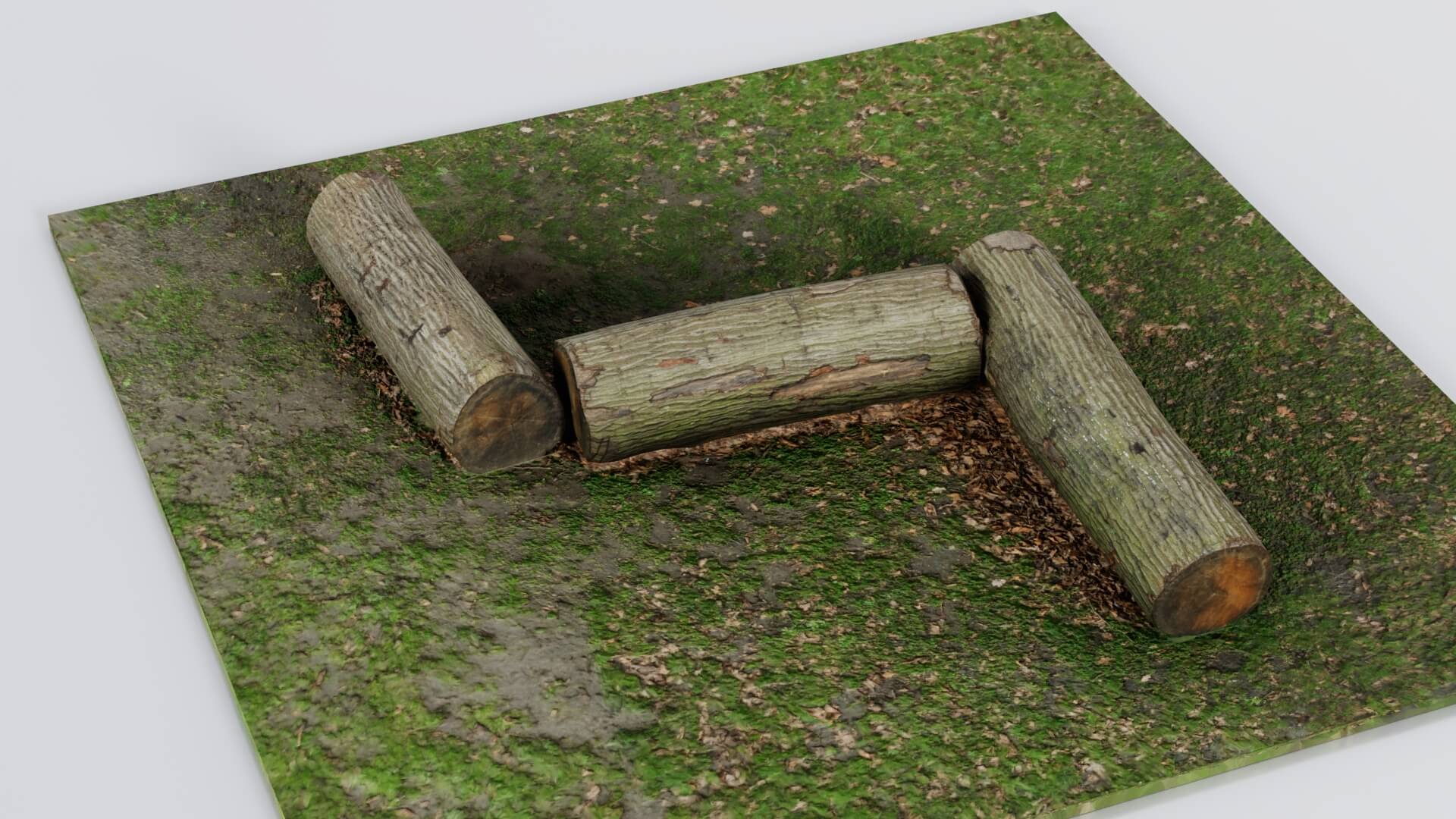 Tree Trunks - 3D Model by Polygonal Miniatures