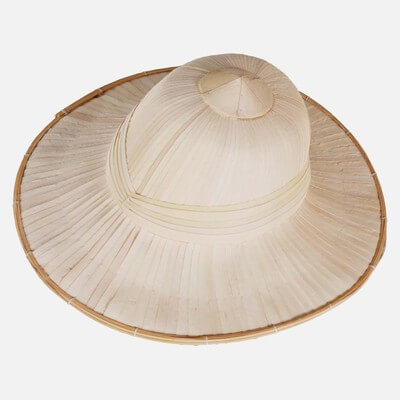 Tropical Hat - 3D Model by Polygonal Miniatures