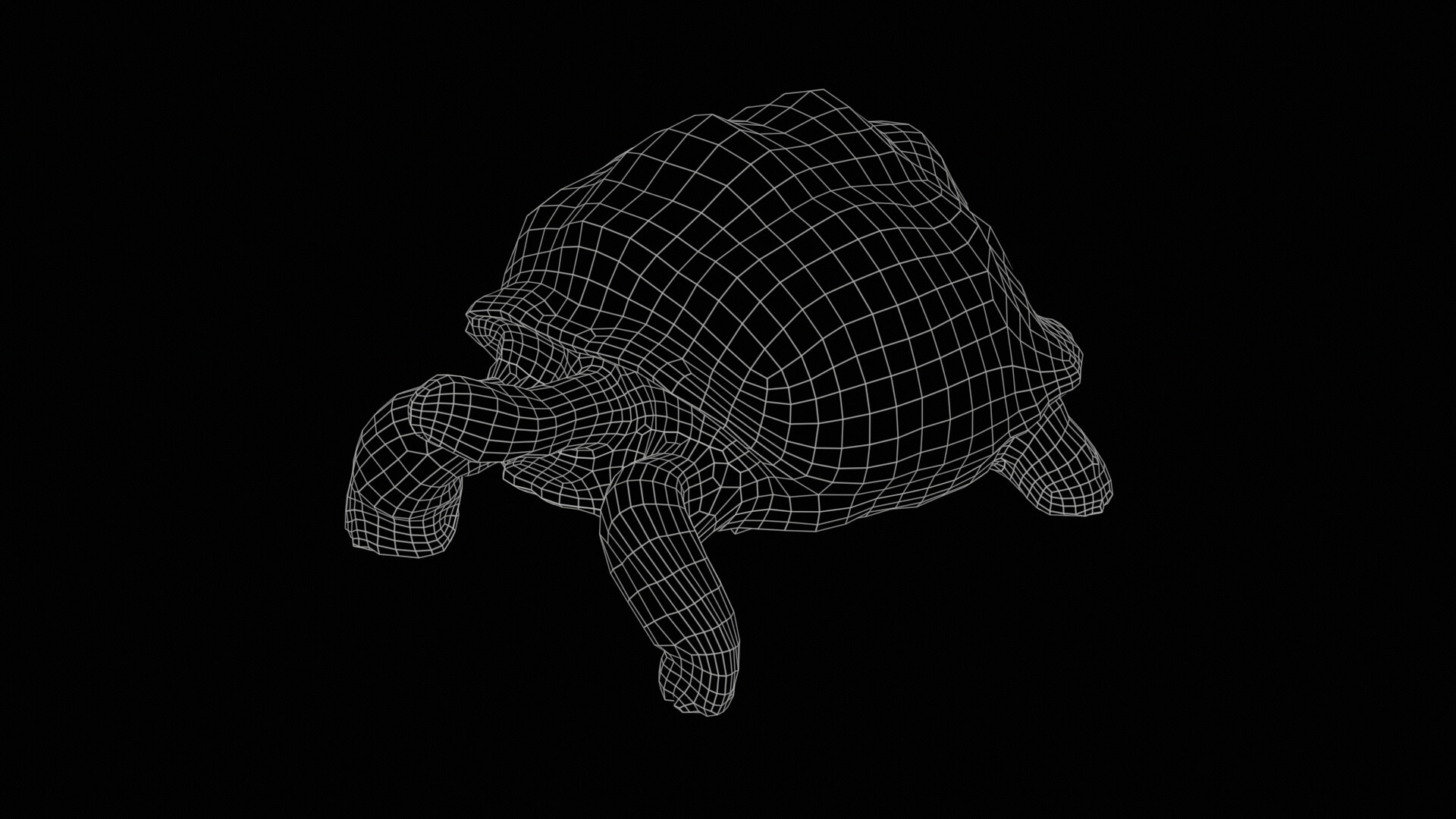 Terrestrial Turtle - 3D Model by Polygonal Miniatures