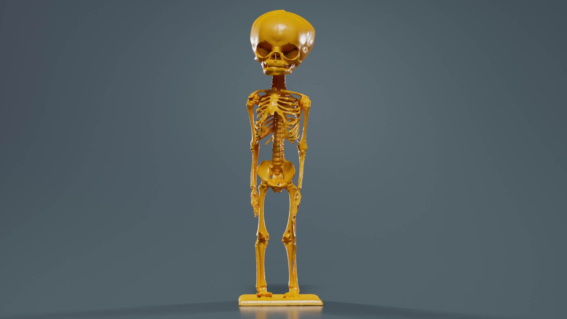 Unborn Human Baby Skeleton - 3D Model by Polygonal Miniatures