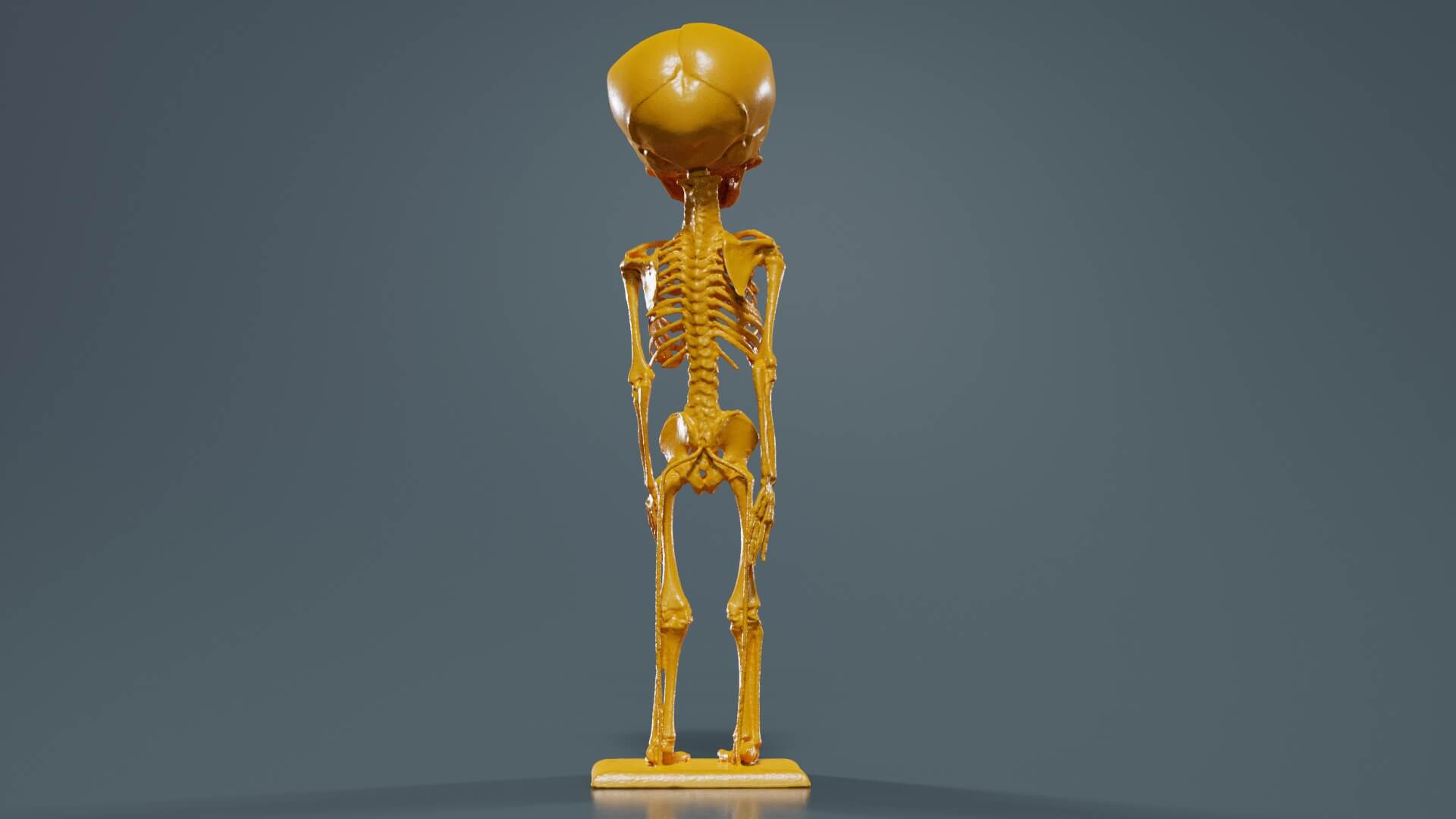 Unborn Human Baby Skeleton - 3D Model by Polygonal Miniatures