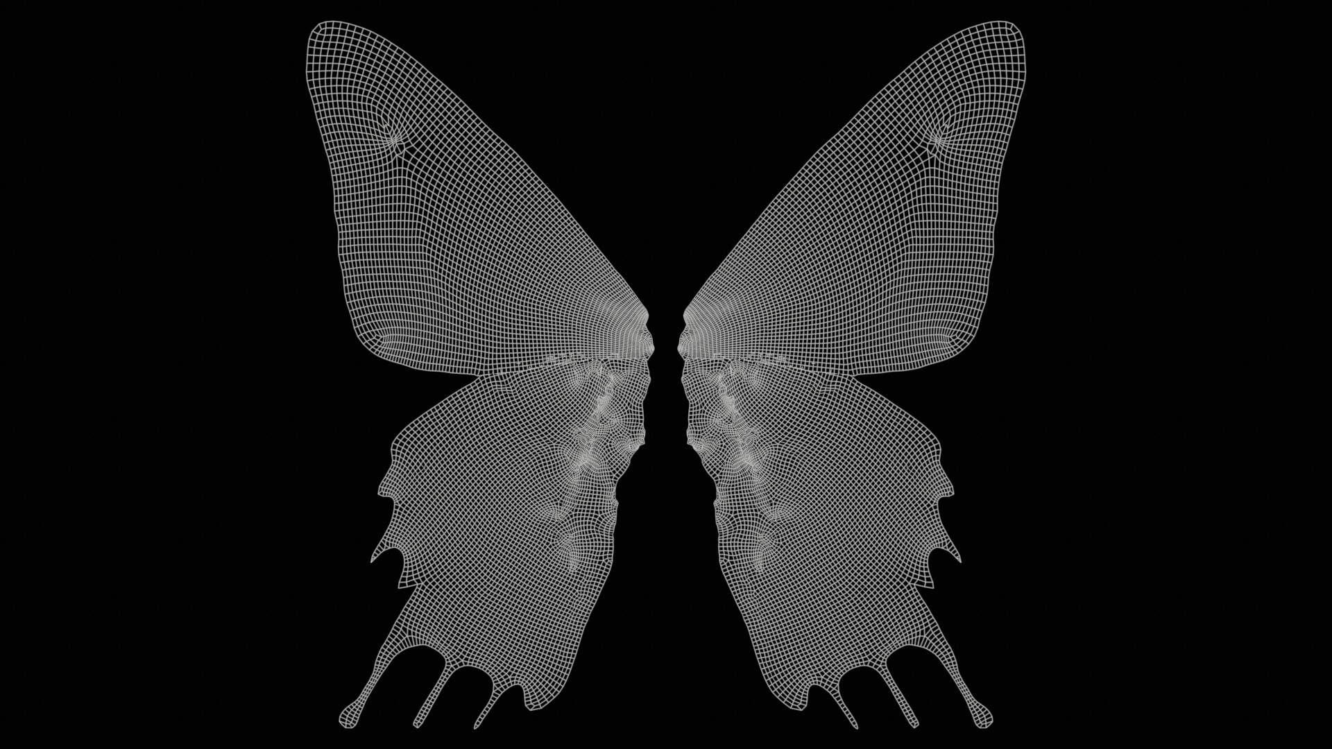 Urania Leilus Madagascan Sunset Moth - 3D Model by Polygonal Miniatures