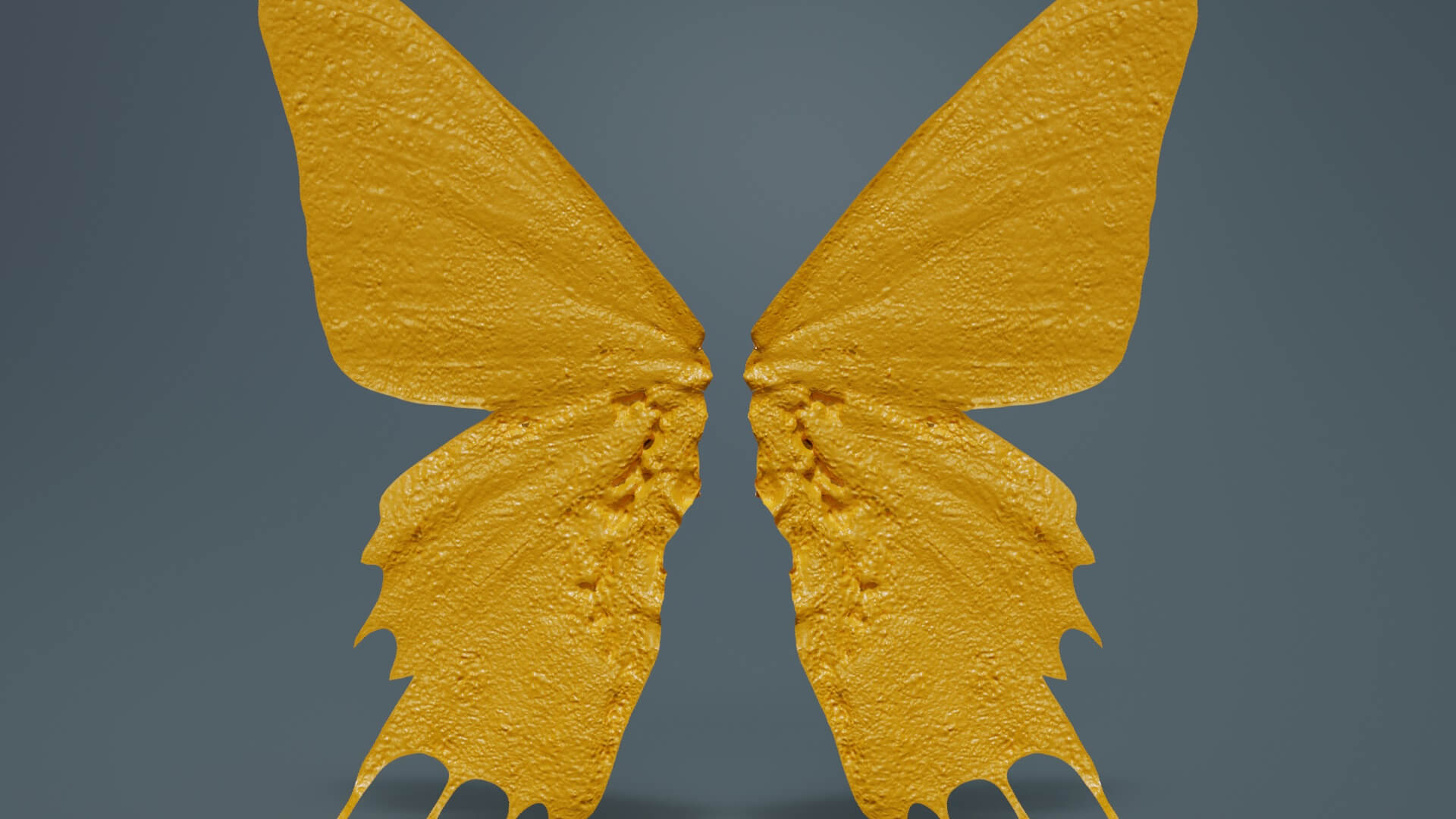 Urania Leilus Madagascan Sunset Moth - 3D Model by Polygonal Miniatures