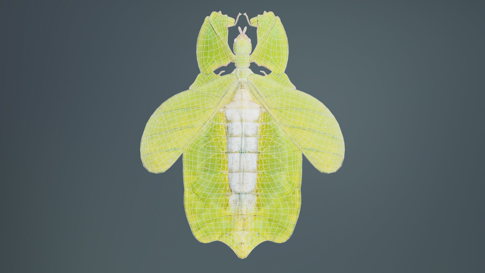 Walking Leaf Phylliidae Leaf Insect - 3D Model by Polygonal Miniatures