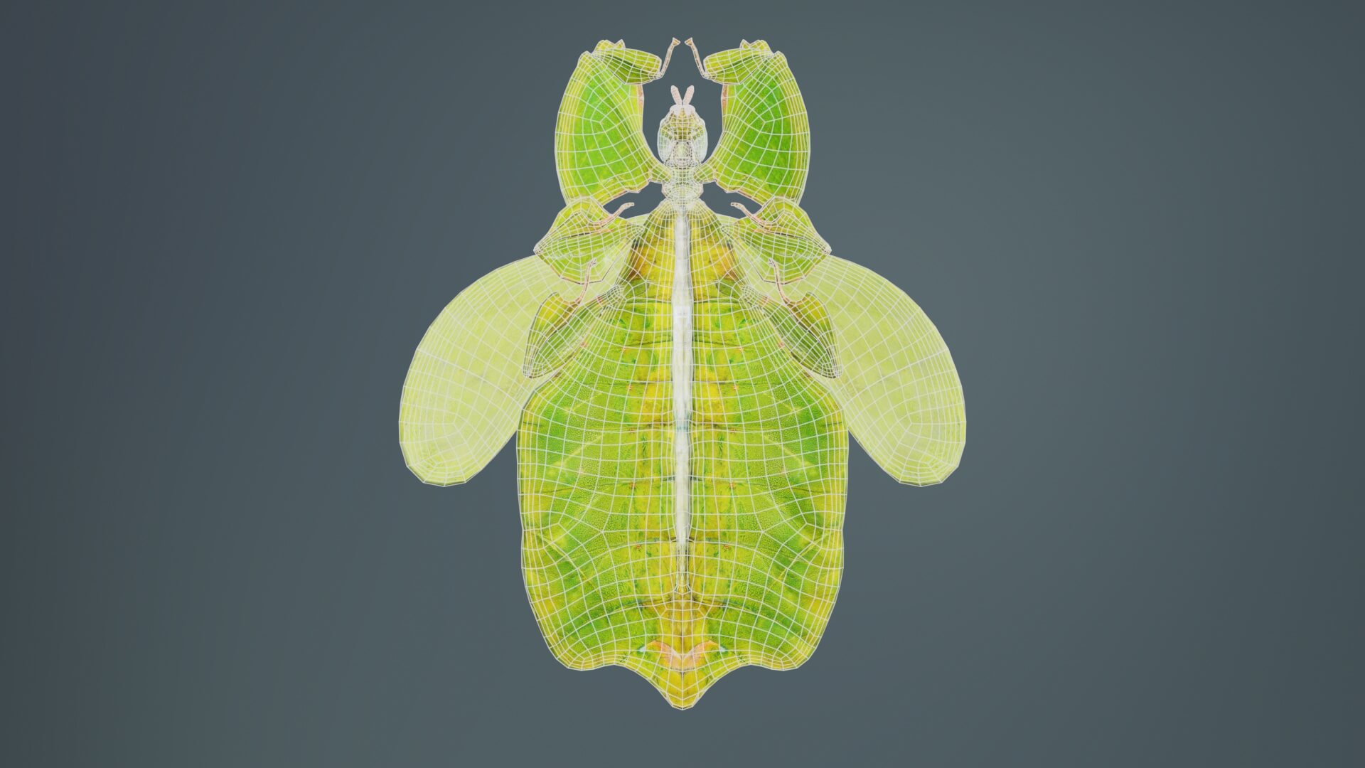 Walking Leaf Phylliidae Leaf Insect - 3D Model by Polygonal Miniatures