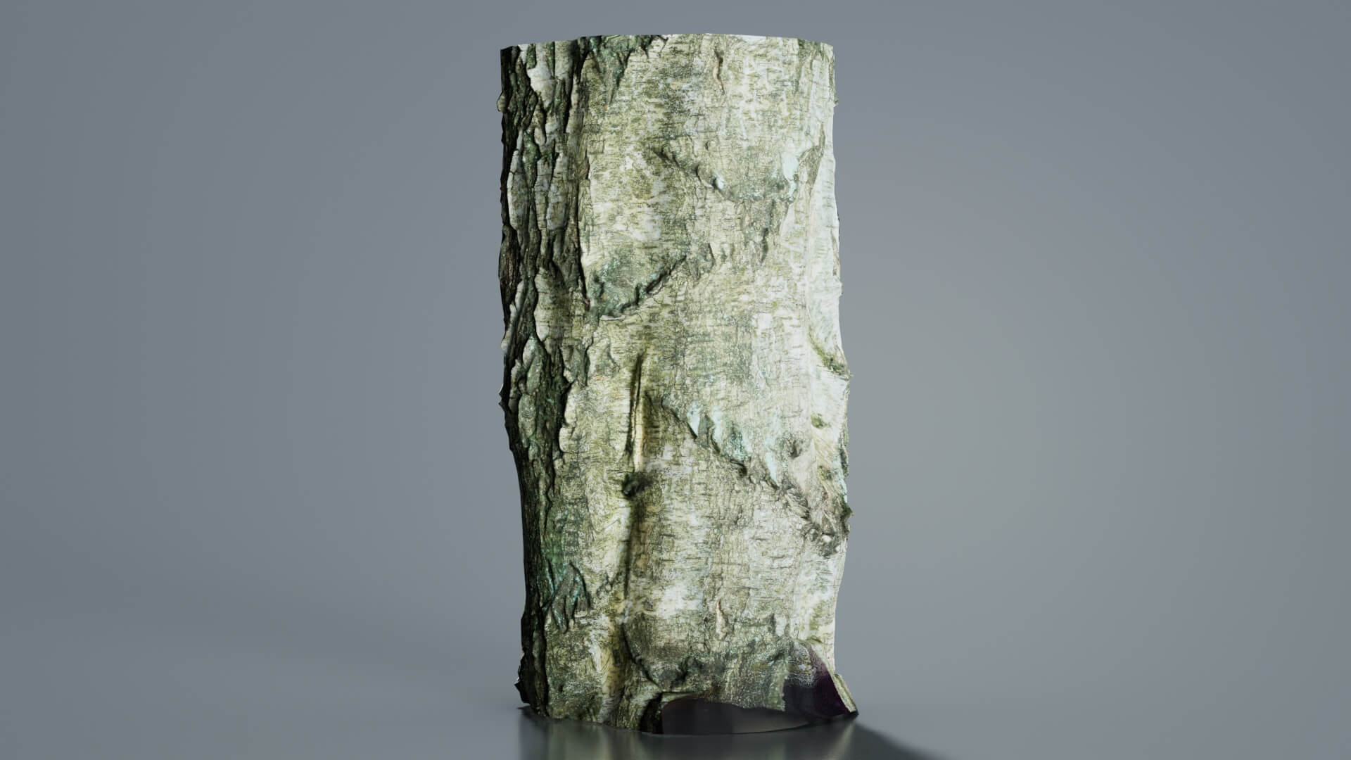 White Bark - 3D Model by Polygonal Miniatures