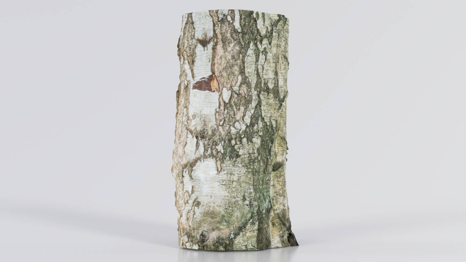 White Bark - 3D Model by Polygonal Miniatures