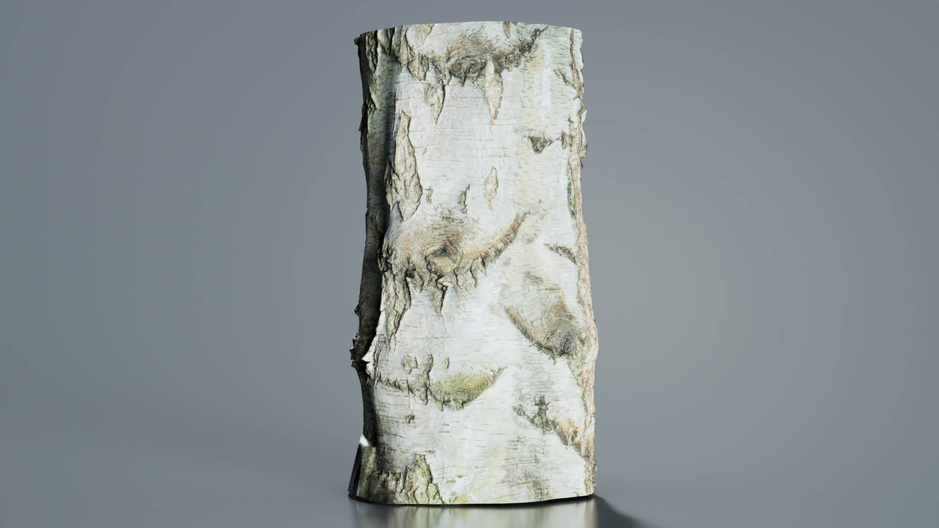 White Bark - 3D Model by Polygonal Miniatures