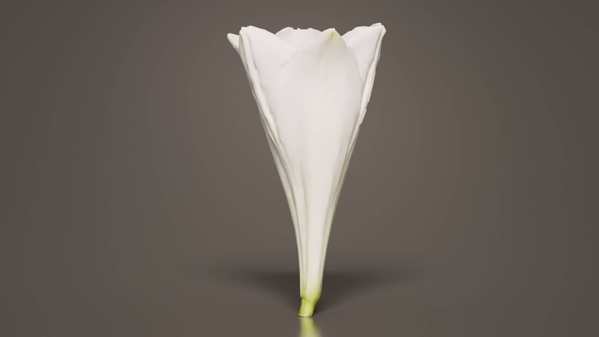 White Lily - 3D Model by Polygonal Miniatures