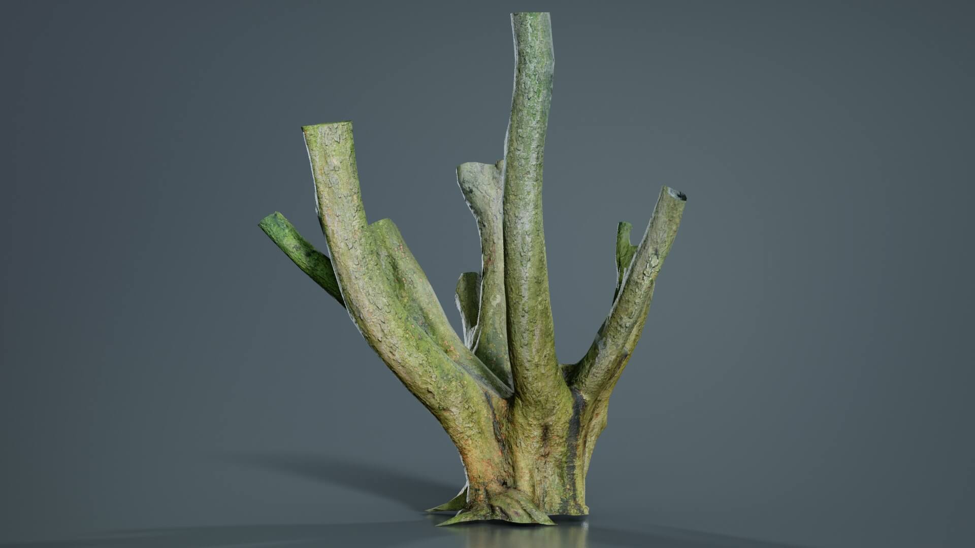 Wide Base with Offshoots Tree Trunk - 3D Model by Polygonal Miniatures