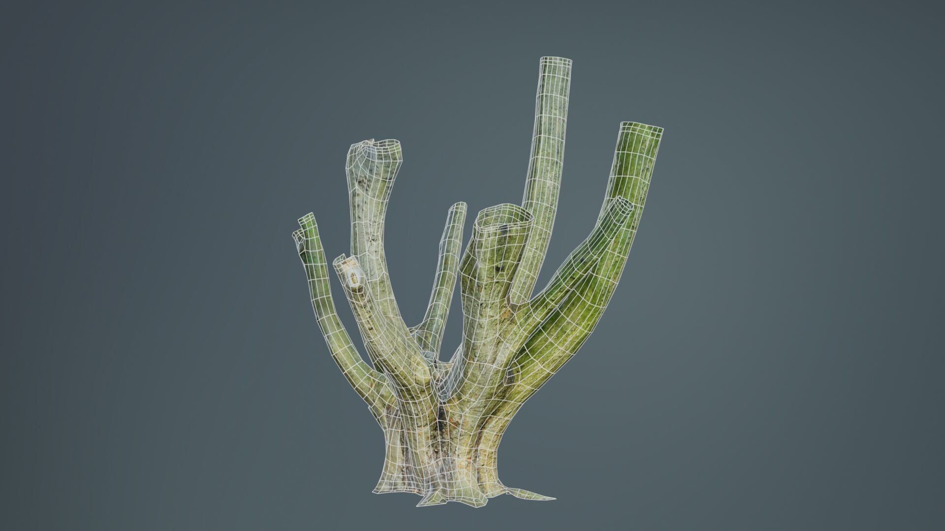 Wide Base with Offshoots Tree Trunk - 3D Model by Polygonal Miniatures