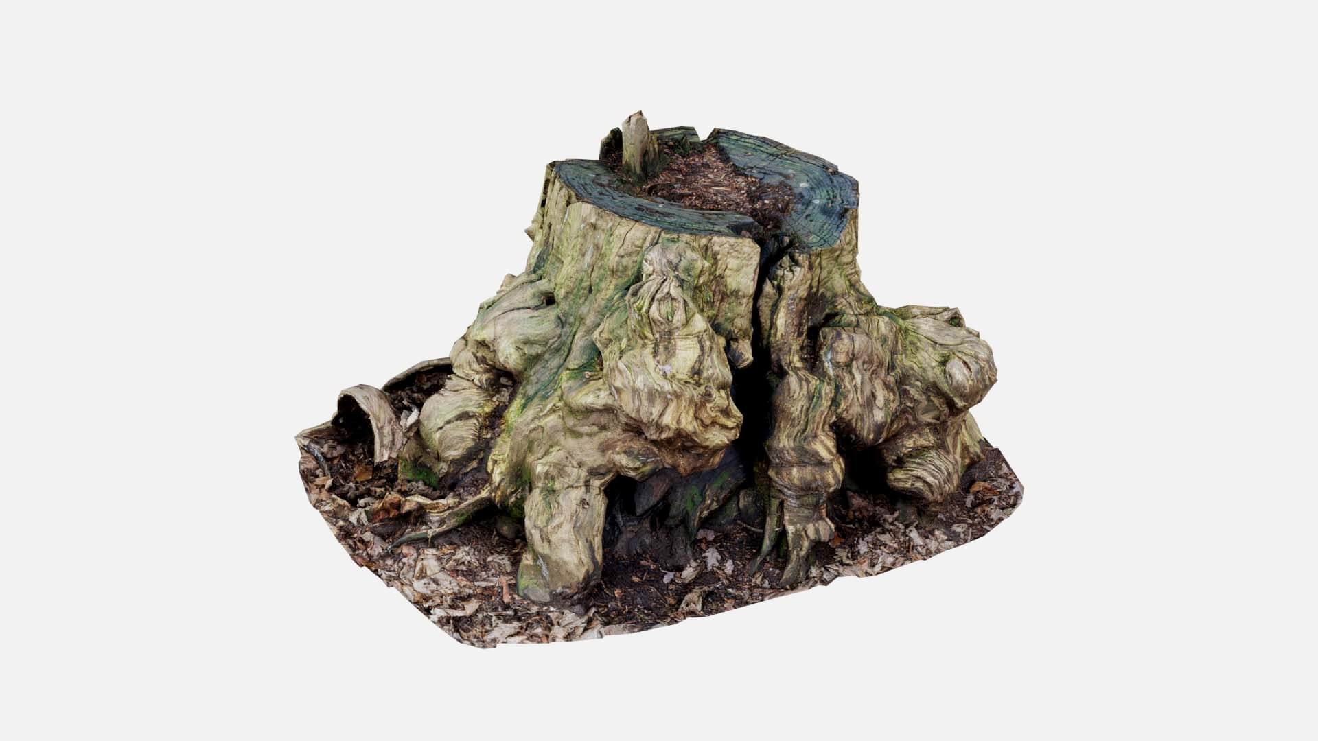 Wide Tree Root Stump - 3D Model by Polygonal Miniatures