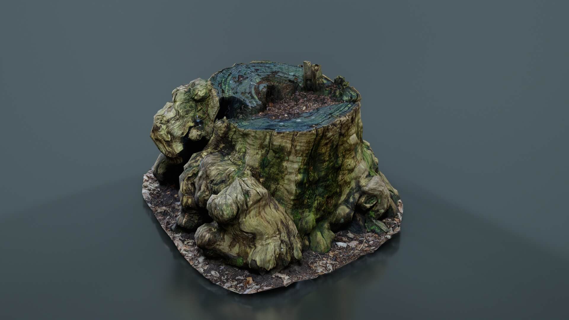 Wide Tree Root Stump - 3D Model by Polygonal Miniatures