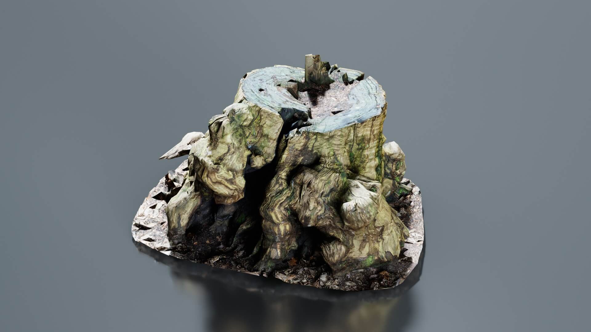 Wide Tree Root Stump - 3D Model by Polygonal Miniatures