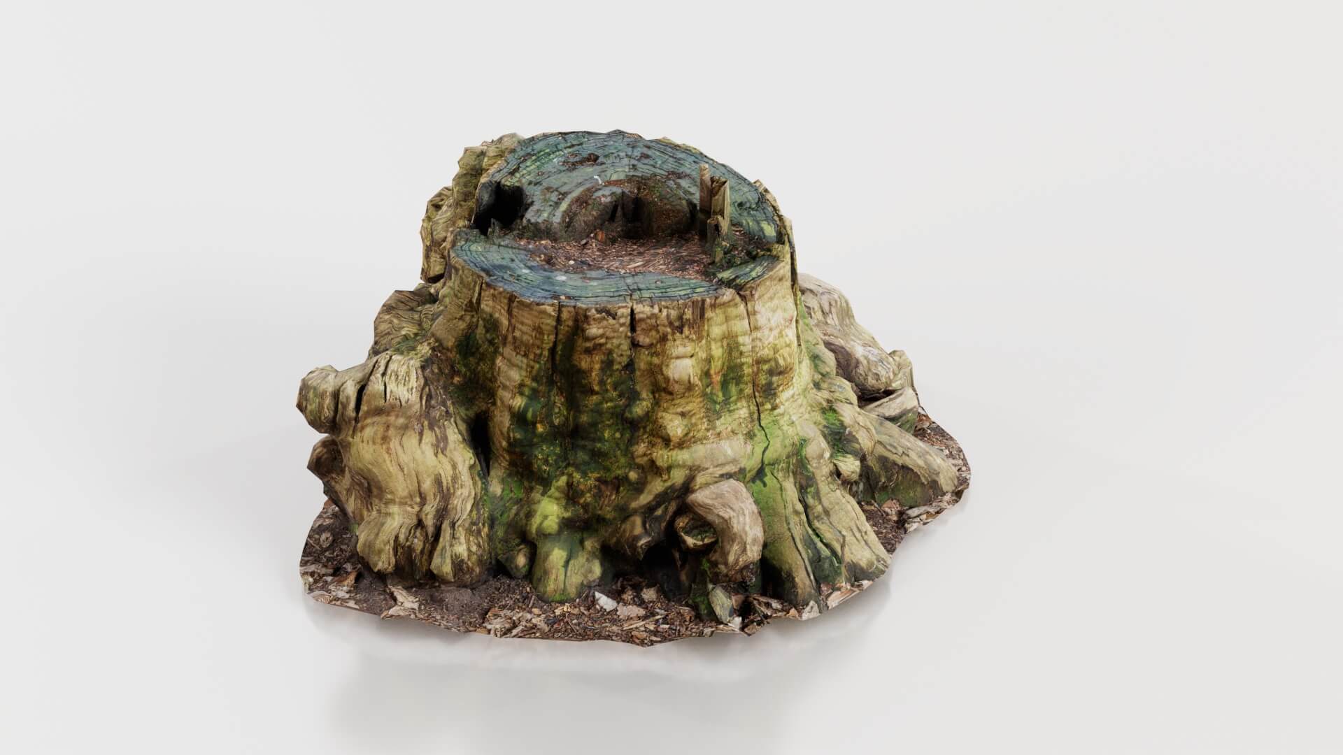 Wide Tree Root Stump - 3D Model by Polygonal Miniatures