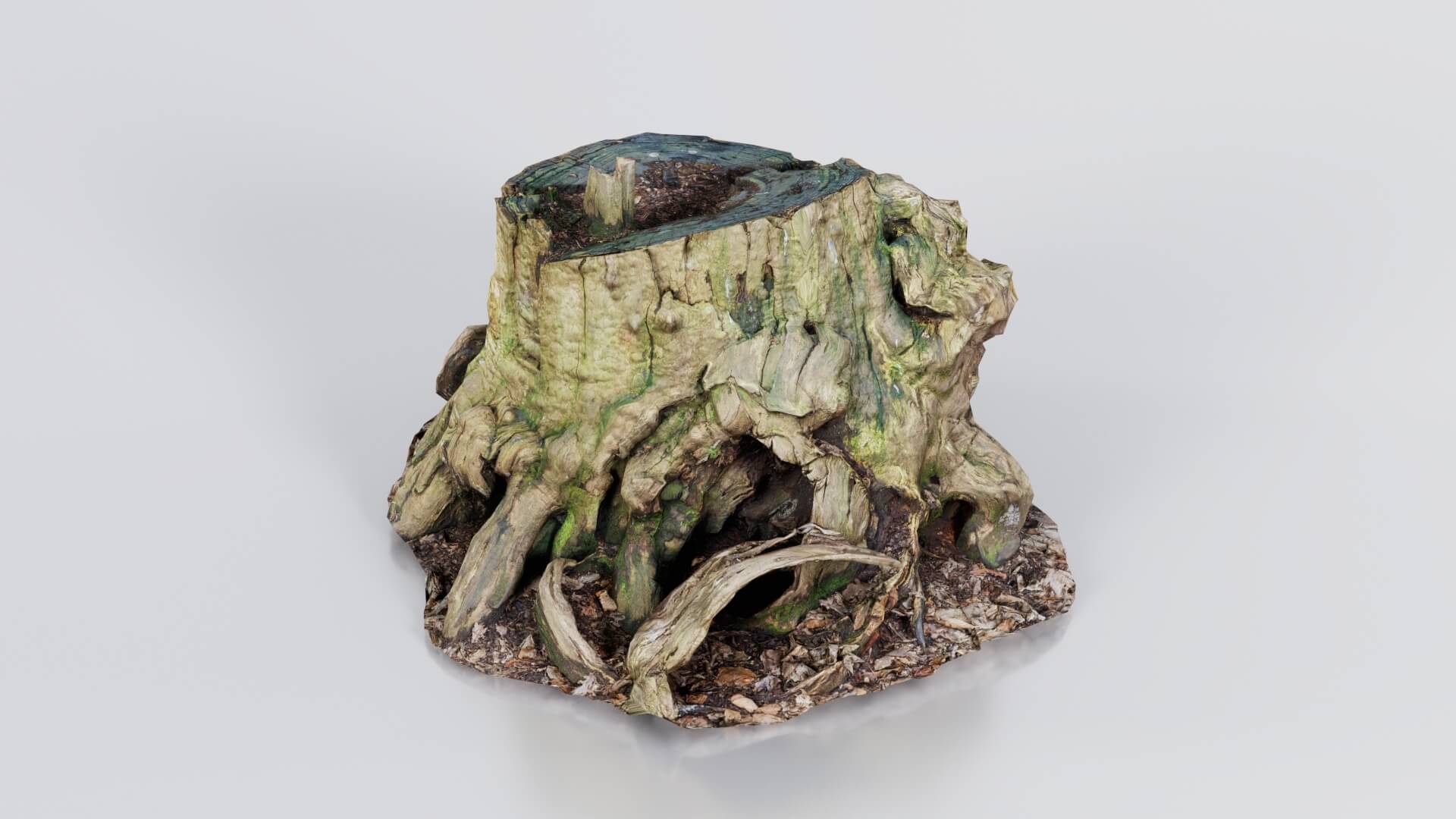 Wide Tree Root Stump - 3D Model by Polygonal Miniatures