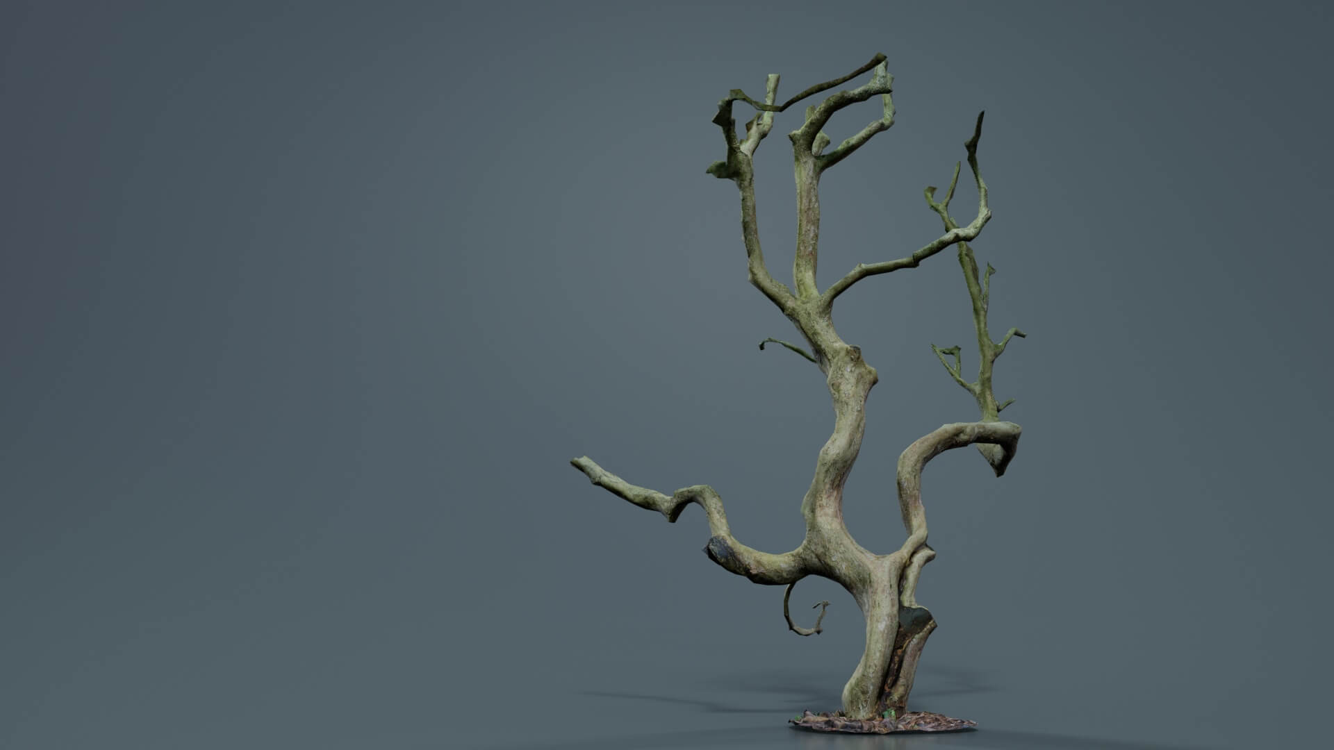 Wiggle Tree Branches - 3D Model by Polygonal Miniatures