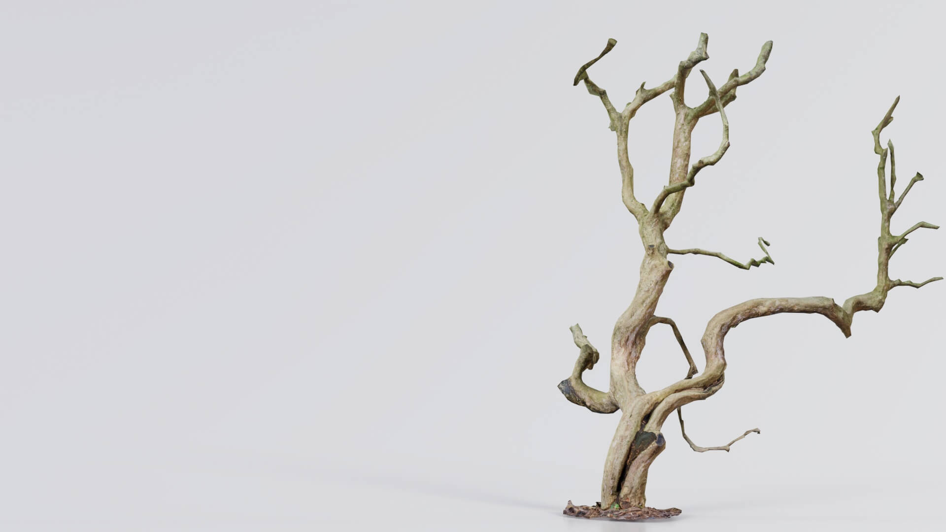 Wiggle Tree Branches - 3D Model by Polygonal Miniatures