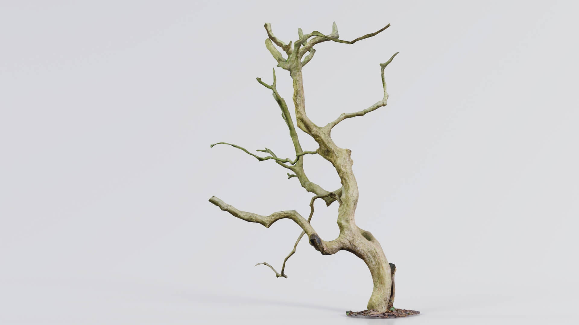 Wiggle Tree Branches - 3D Model by Polygonal Miniatures