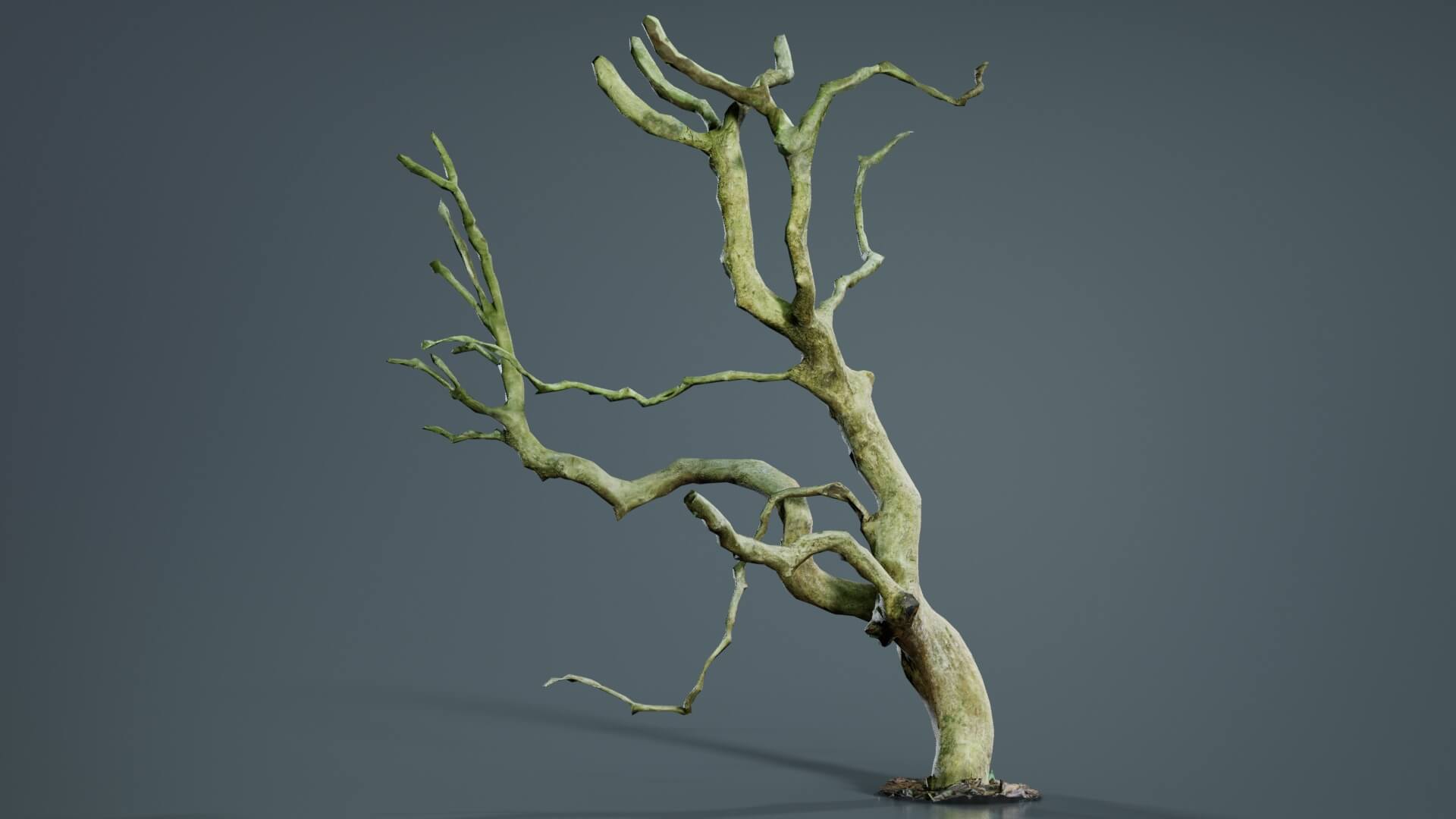 Wiggle Tree Branches - 3D Model by Polygonal Miniatures