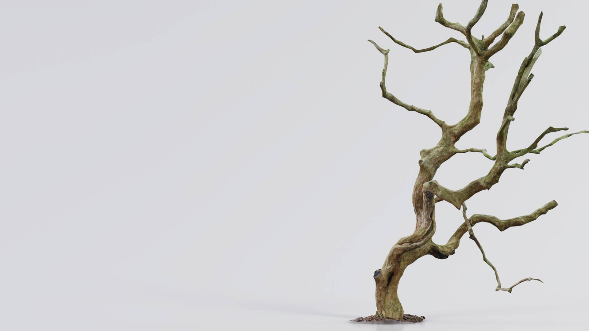 Wiggle Tree Branches - 3D Model by Polygonal Miniatures