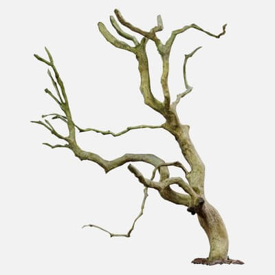 Wiggle Tree Branches - 3D Model by Polygonal Miniatures
